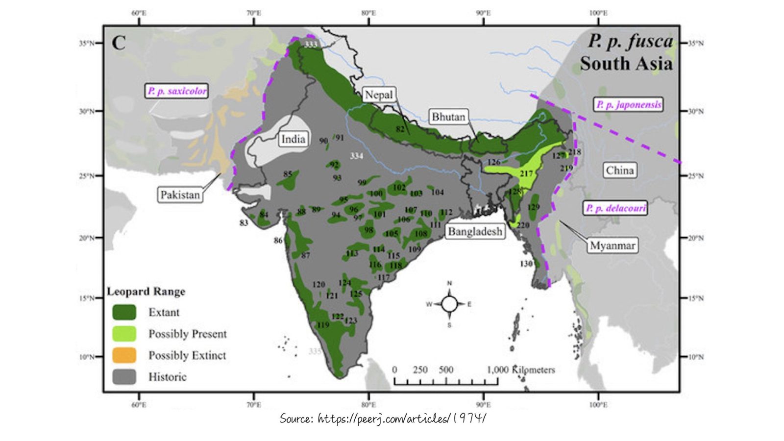 Leopard – See Animals Wild